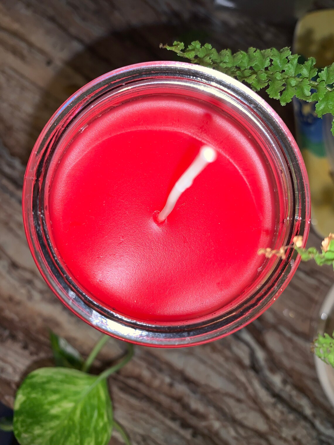 La Madama Tri Color 7 Day Candle - Etsy
