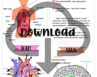 Student Nurse Flashcards - Etsy