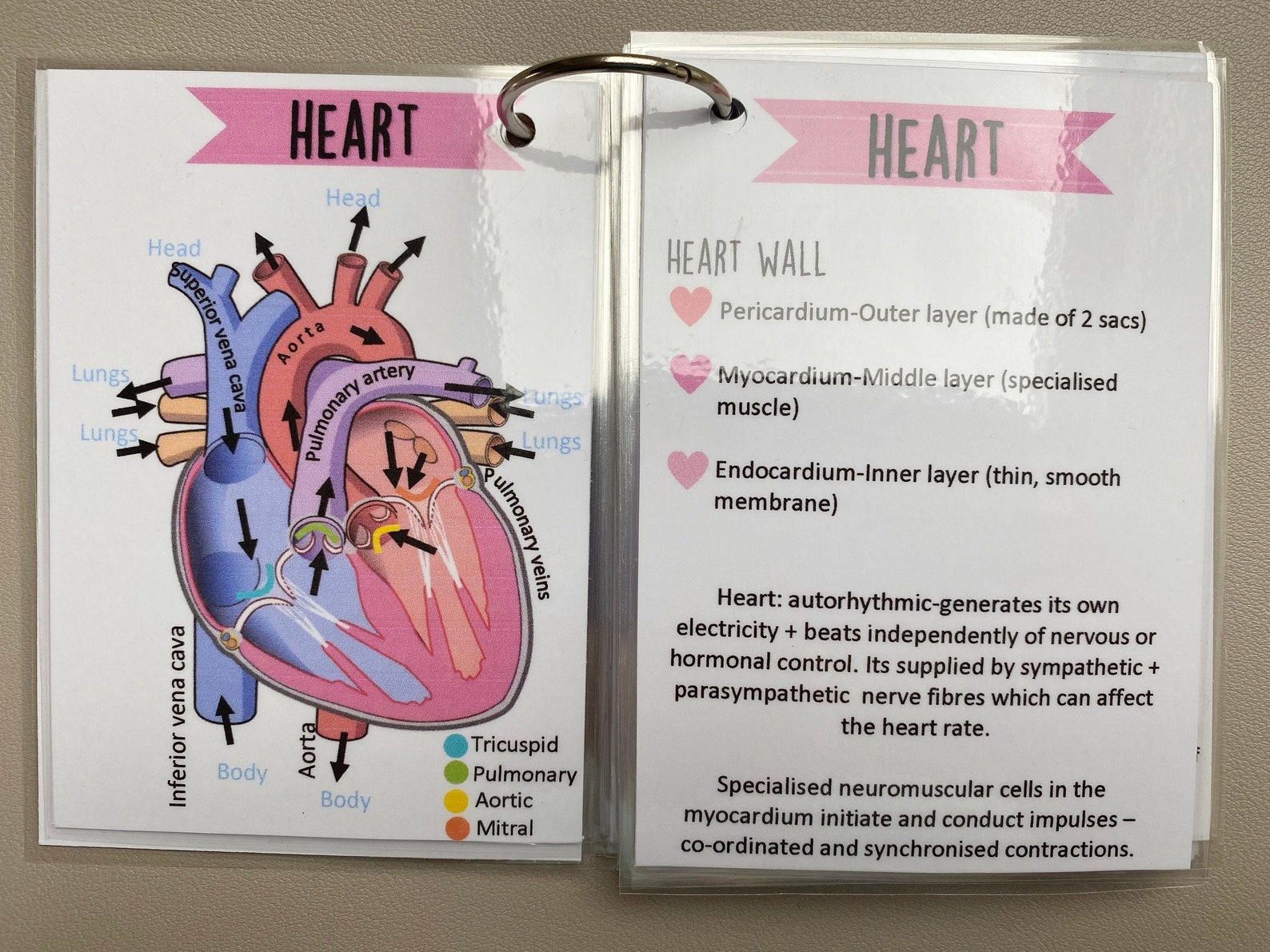 Student Nurse Flashcards | Etsy