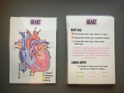 Medicine Study Flashcards Bundle - Etsy