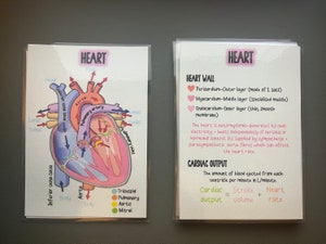 Medicine Study Flashcards Bundle - Etsy