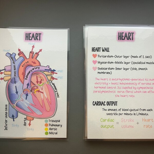 Nursing Flashcards - Etsy UK