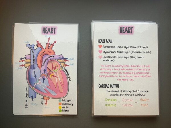 Medicine Study Flashcards Bundle - Etsy