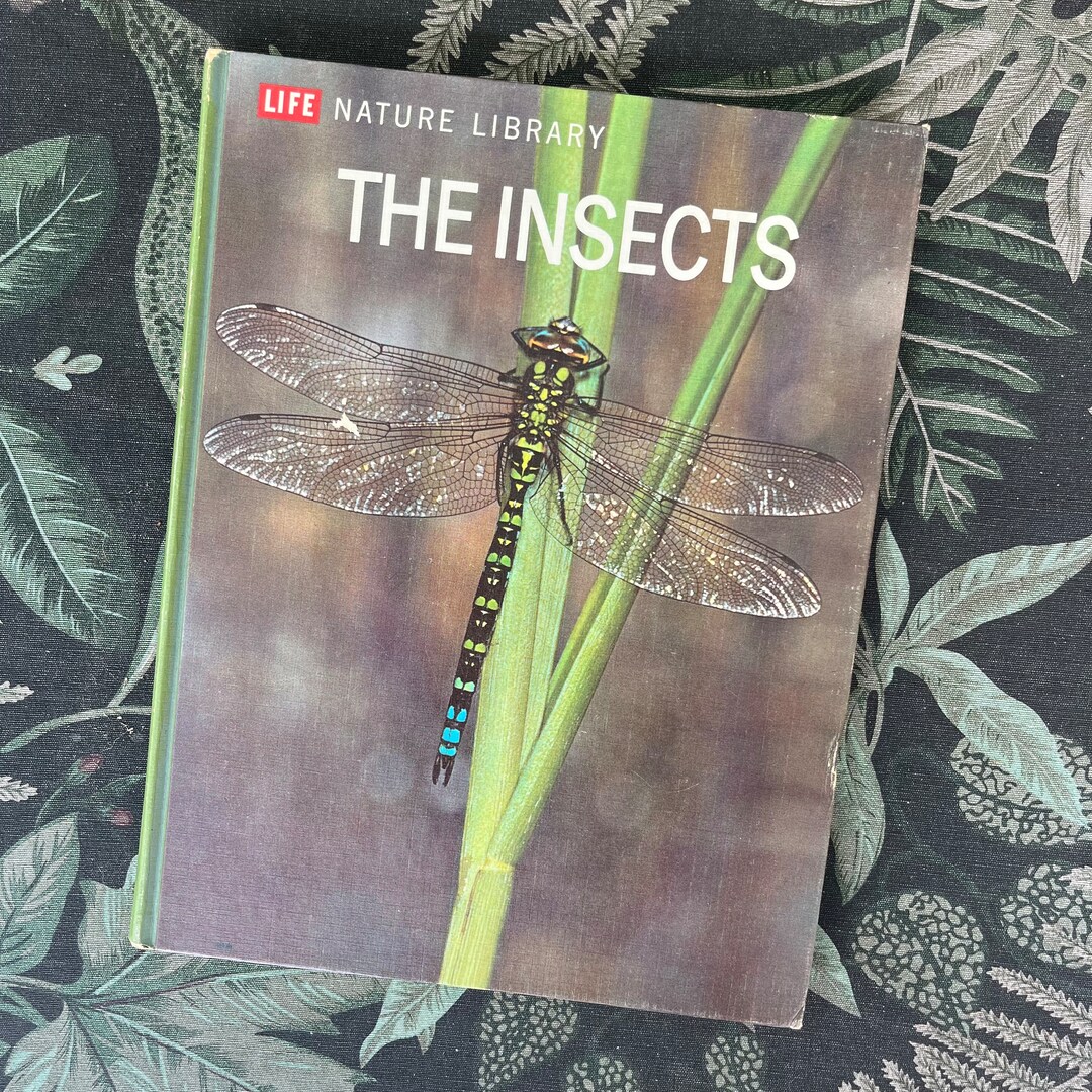1962 Life Nature Library the Insects Book - Etsy