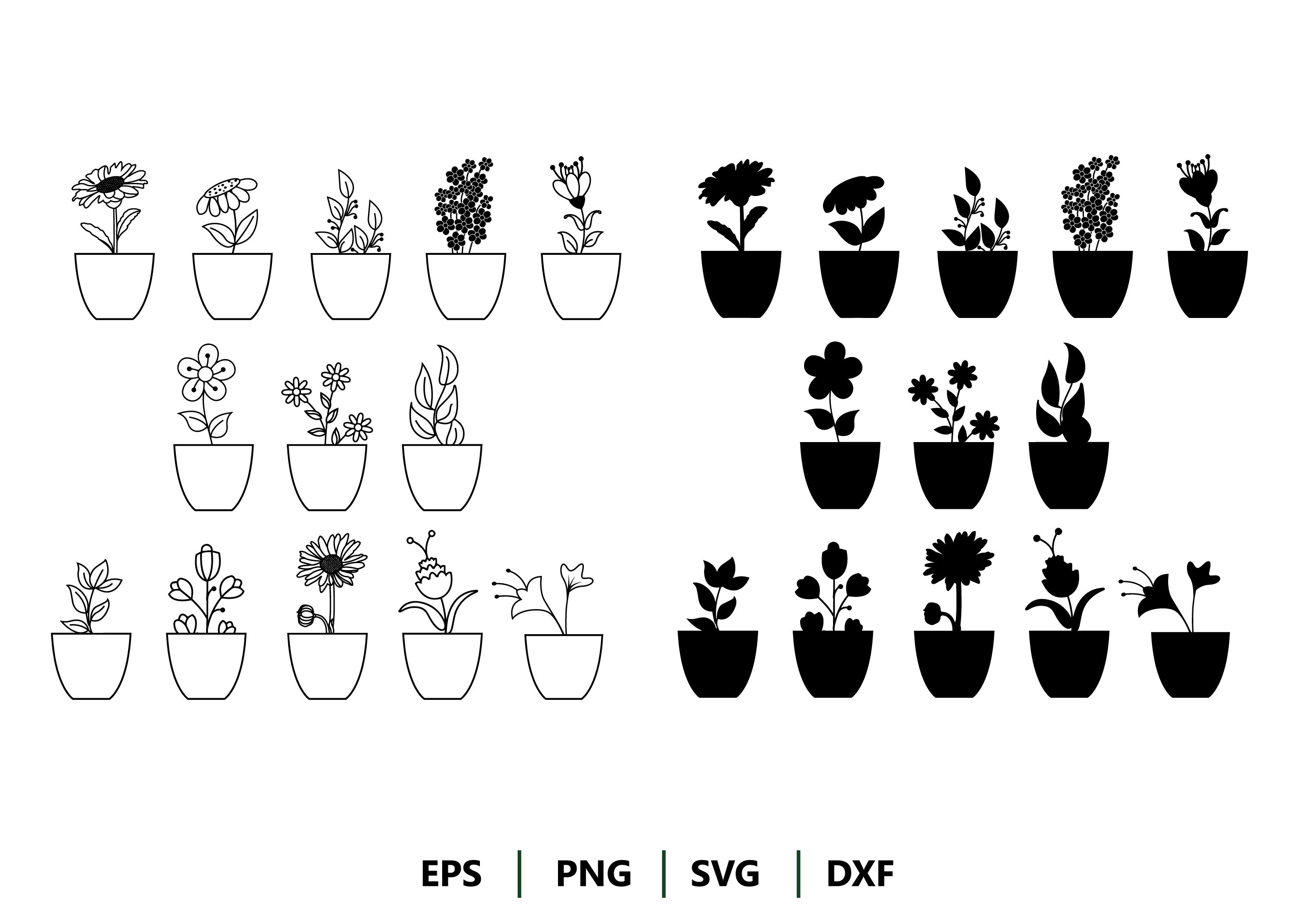Plants Svg BundleSmall Plant SVGPlant svgLittle plant | Etsy