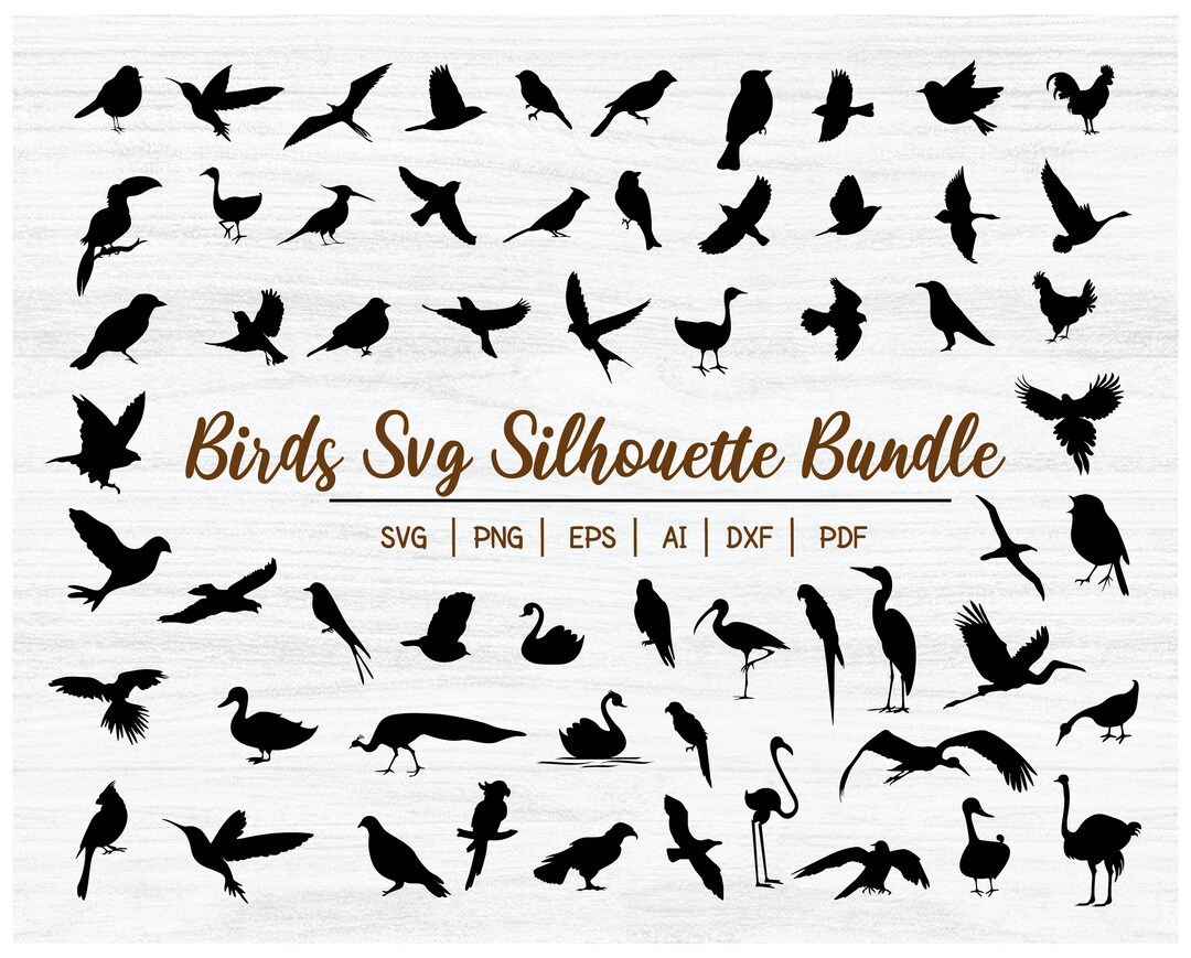 60 Bird Svg Bundle Birds Svg Flying Bird Svgbirds Clipart. - Etsy Ireland