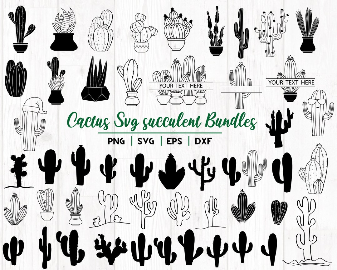 Cactus Svg Bundles Cactus Svg Cactus Split Monogram Cactus - Etsy