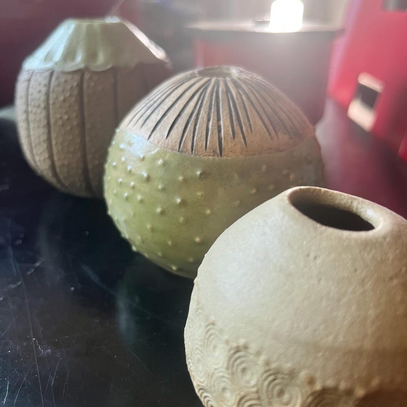 Cactus Pottery - Etsy