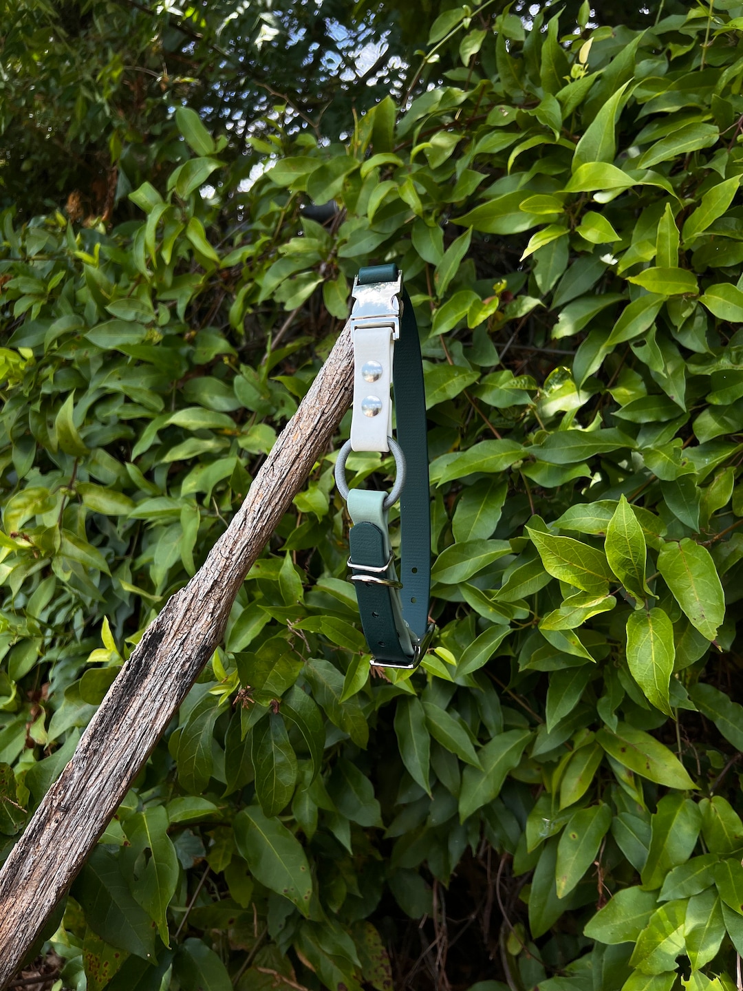 Custom E-collar Bungee Band Collar - Etsy