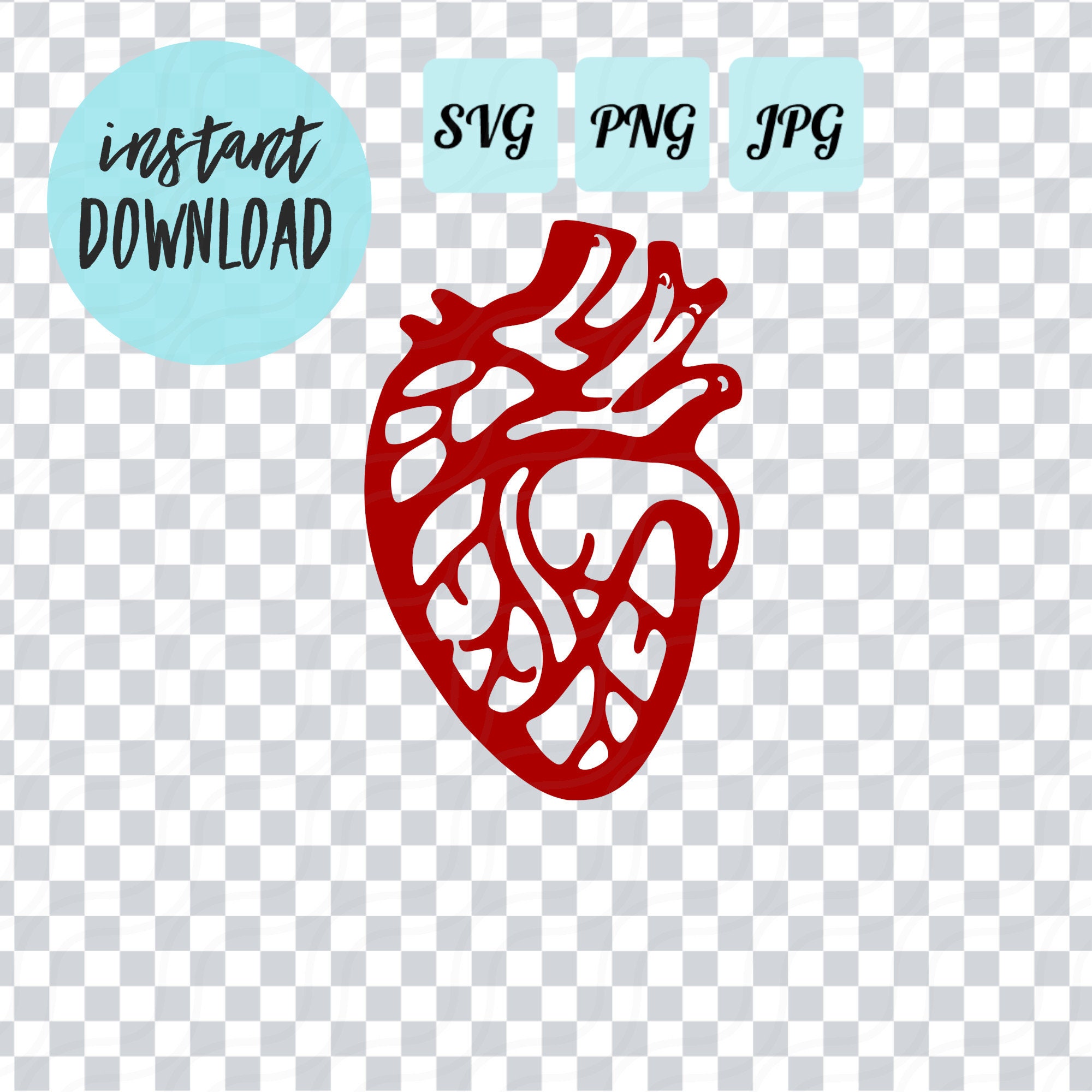 Anatomical Heart Svg, Heart Svg, Human Heart Clip Art, Human Heart Svg ...
