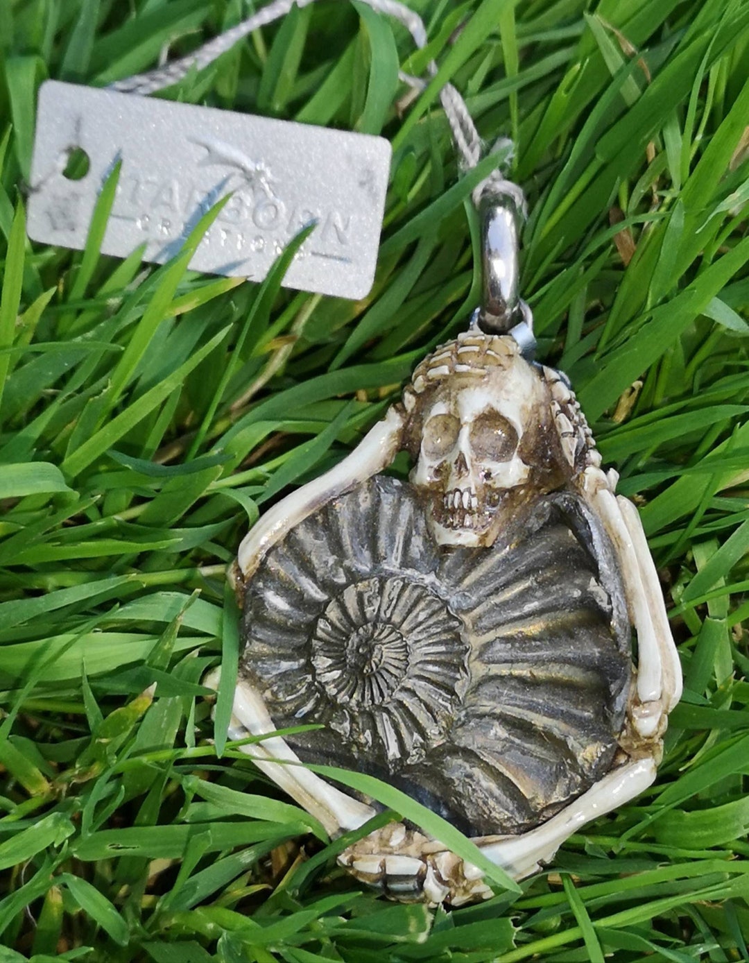 Skeleton Carving on Genuine Ammonite Pendant - Etsy