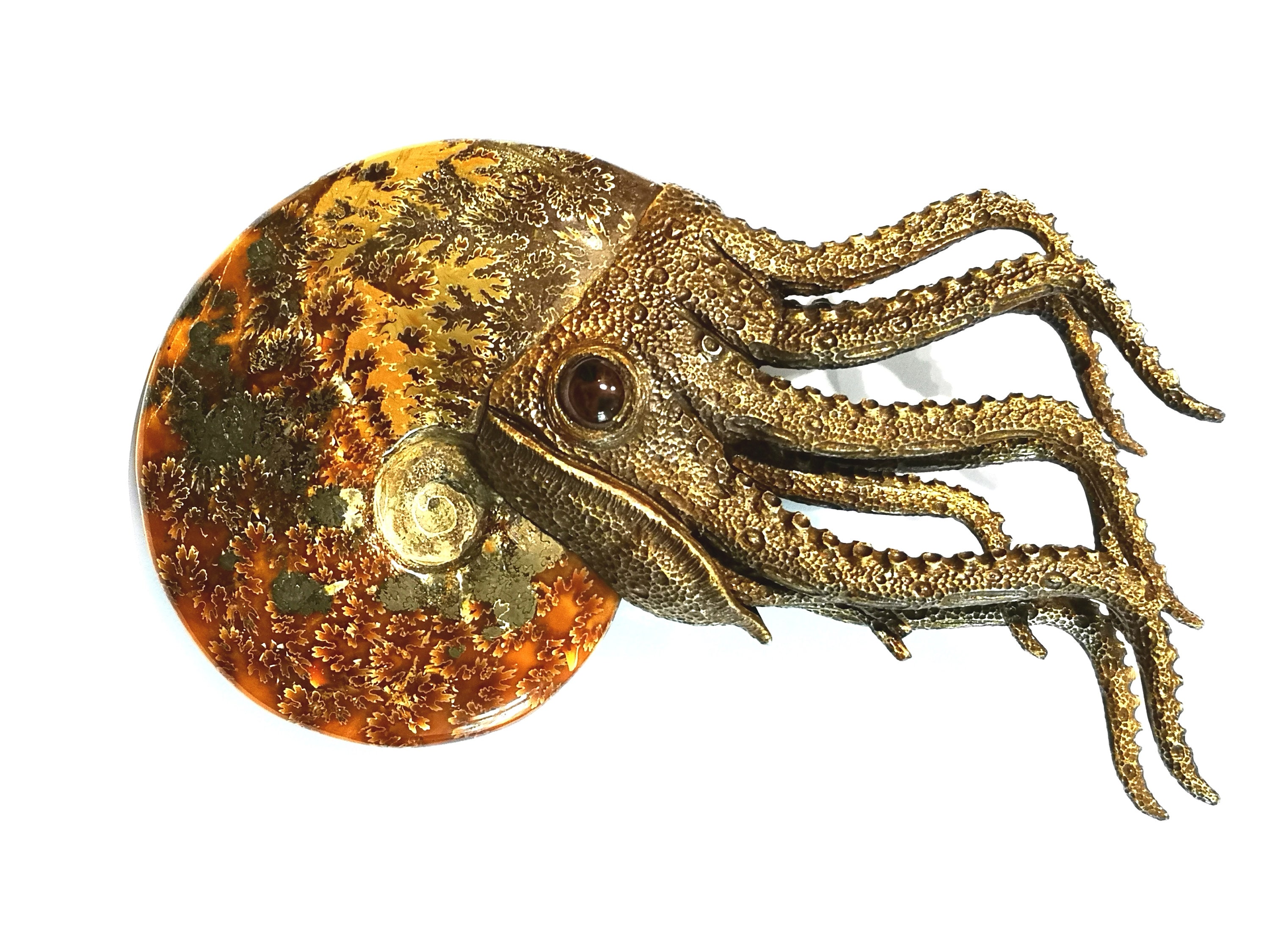 Large Artistic Ammonite Sculpture With Lava Base - Etsy