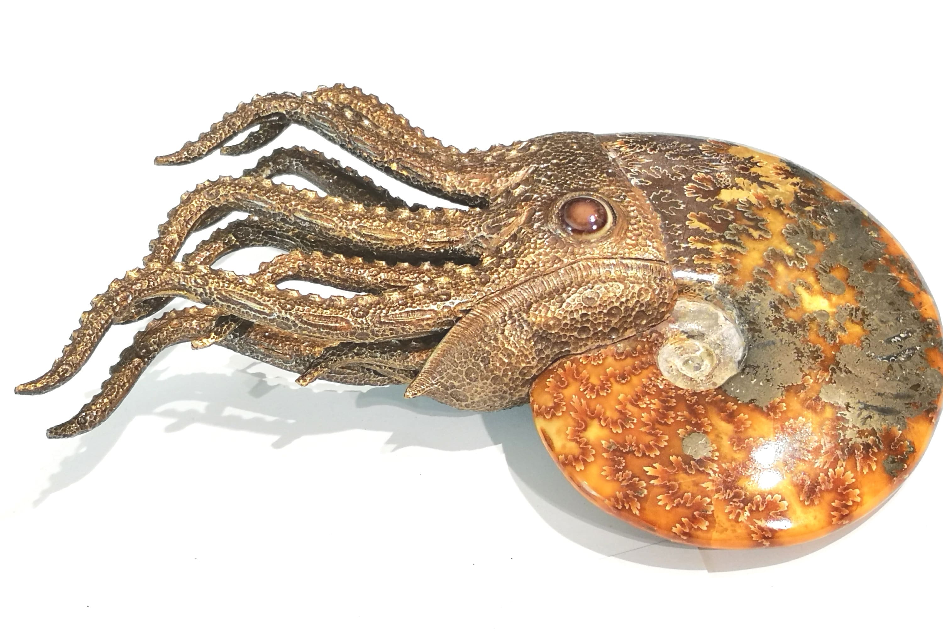 Large Artistic Ammonite Sculpture With Lava Base - Etsy