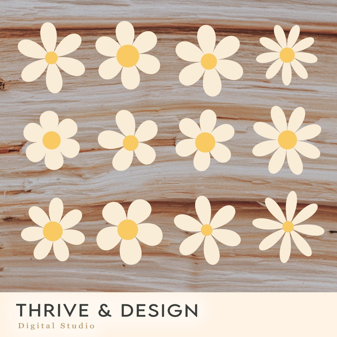 Daisy SVG Bundle, Daisy Flower Svg Files for Cricut, Clipart Cut Files ...