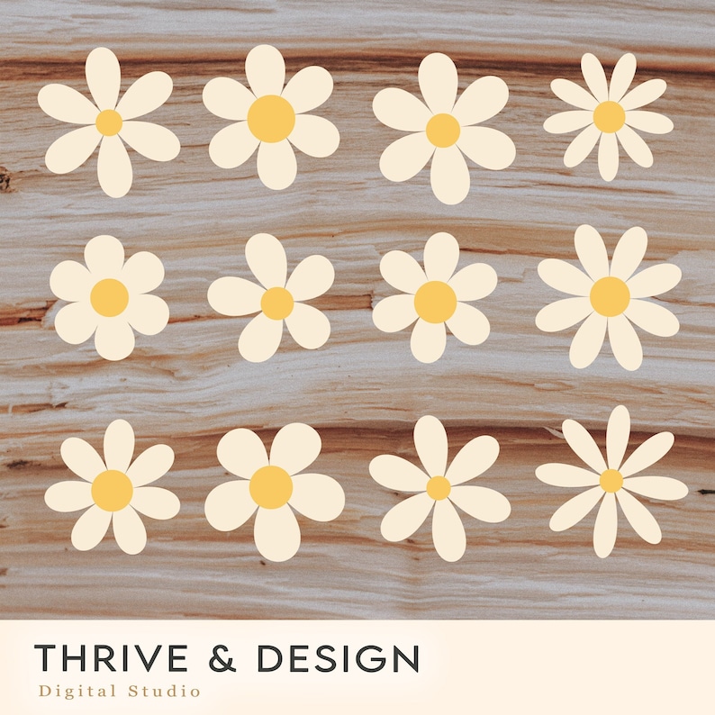 Daisy SVG Bundle, Daisy Flower Svg Files for Cricut, Clipart Cut Files ...