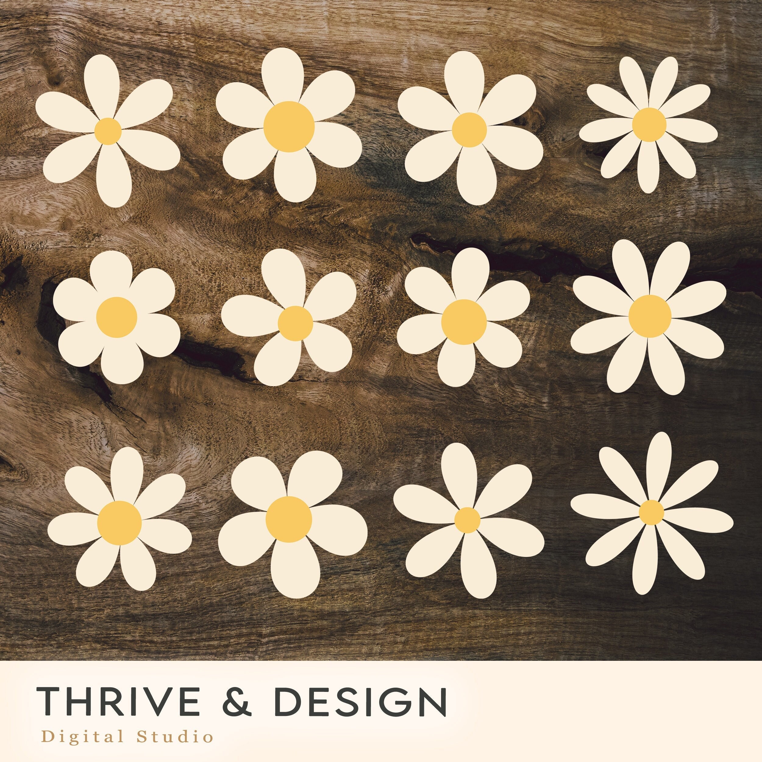 Daisy SVG Bundle Daisy Flower Svg Files for Cricut Clipart - Etsy Australia