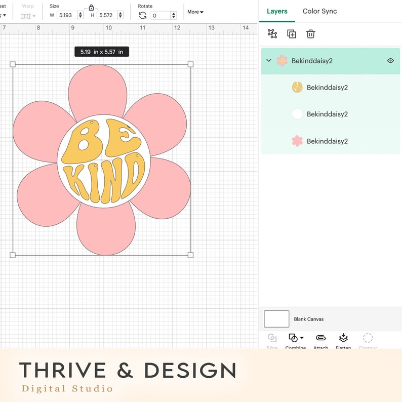 Daisy SVG Bundle Daisy Flower Svg Files for Cricut Clipart - Etsy