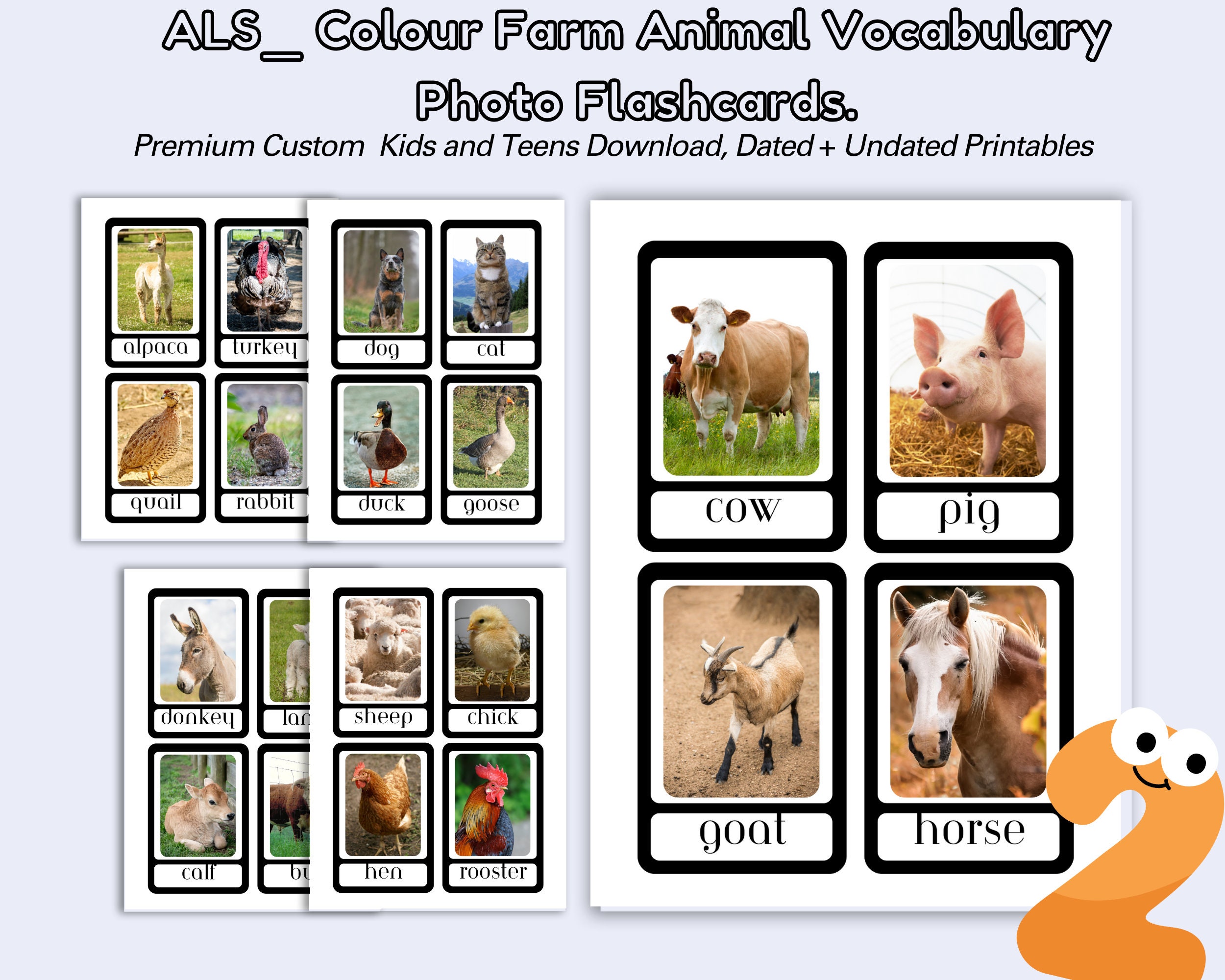 ALS_ Color Farm Animal Vocabulary Photo Flashcards, Zoo Park, Animals ...