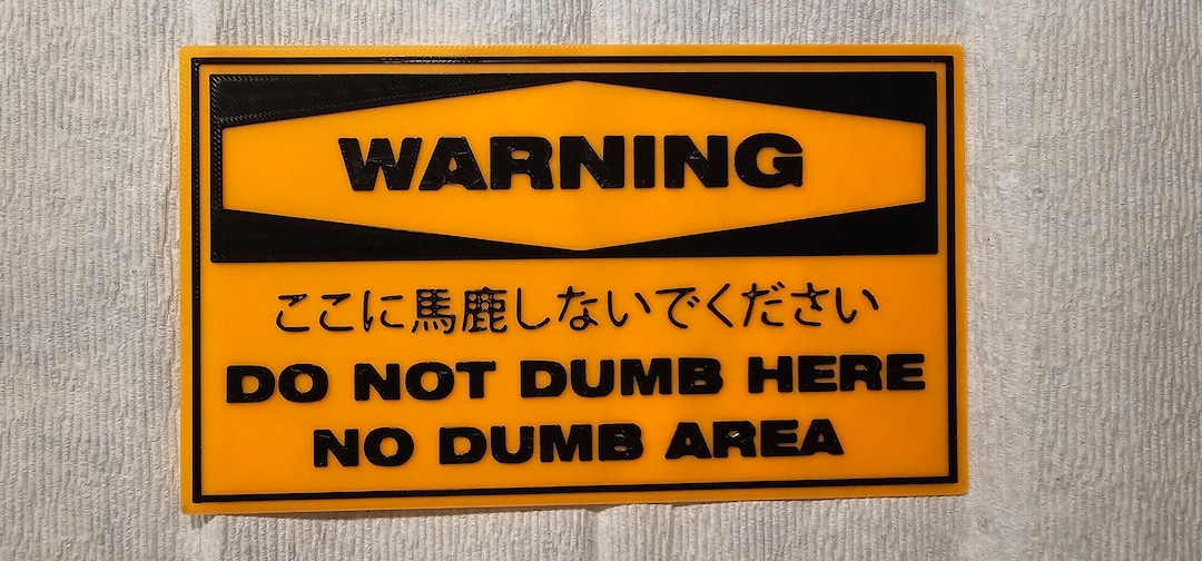 Do Not Dumb Here Silly Osha Style Sign - Etsy