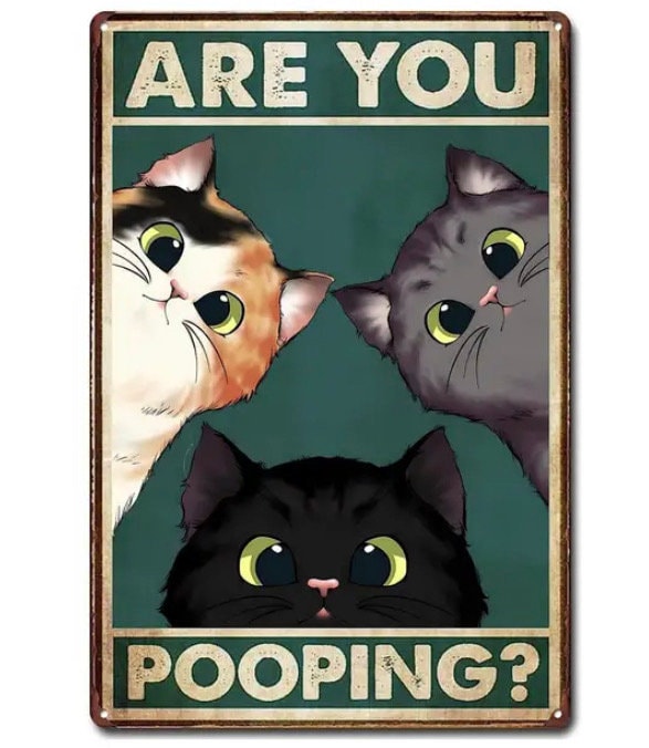Retro Vintage Tin Sign Are You Pooping? Cat Wall Bathroom Home ...