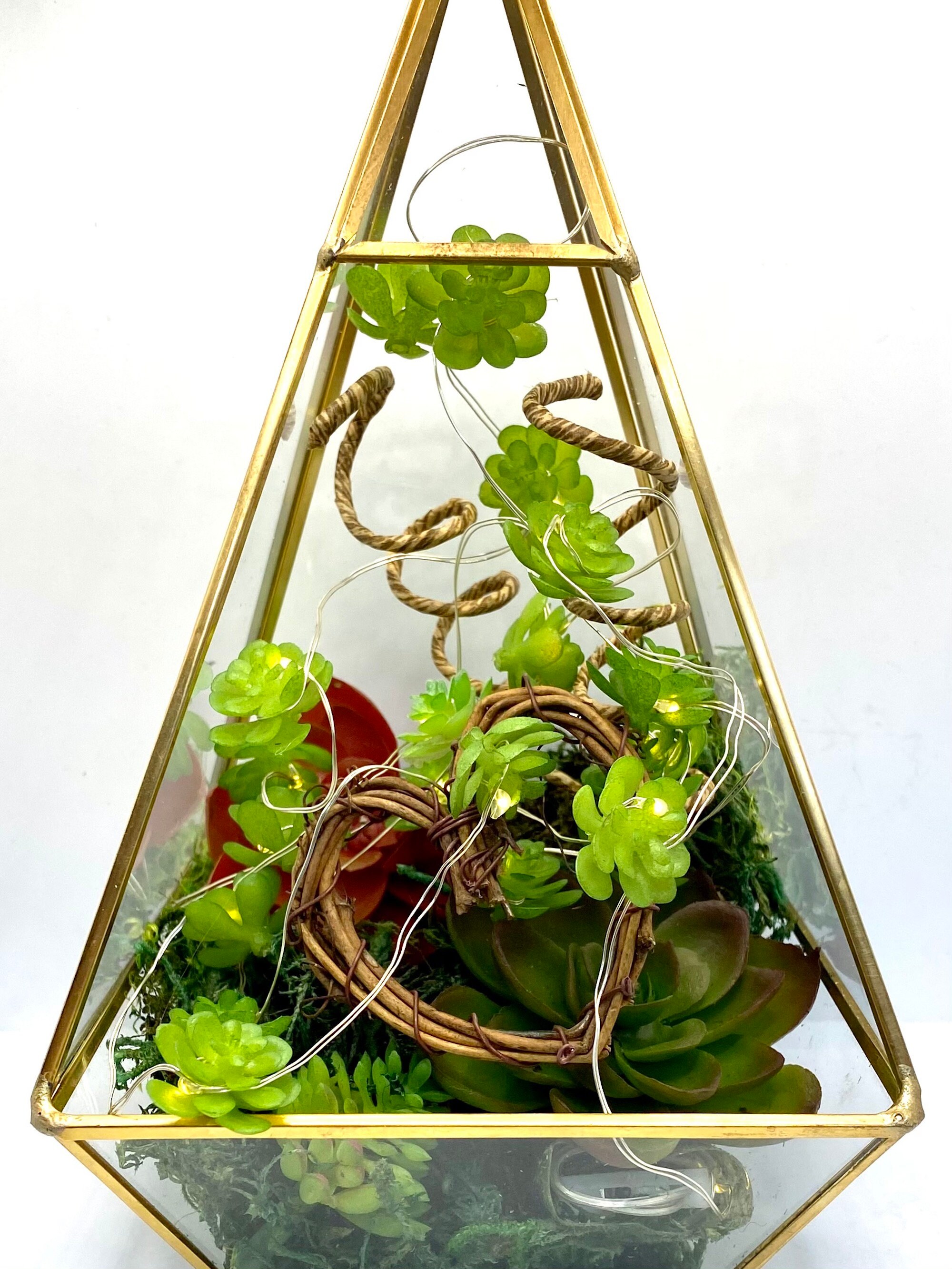 Hanging Gold Triangle Terrarium with Red Succulent Green | Etsy