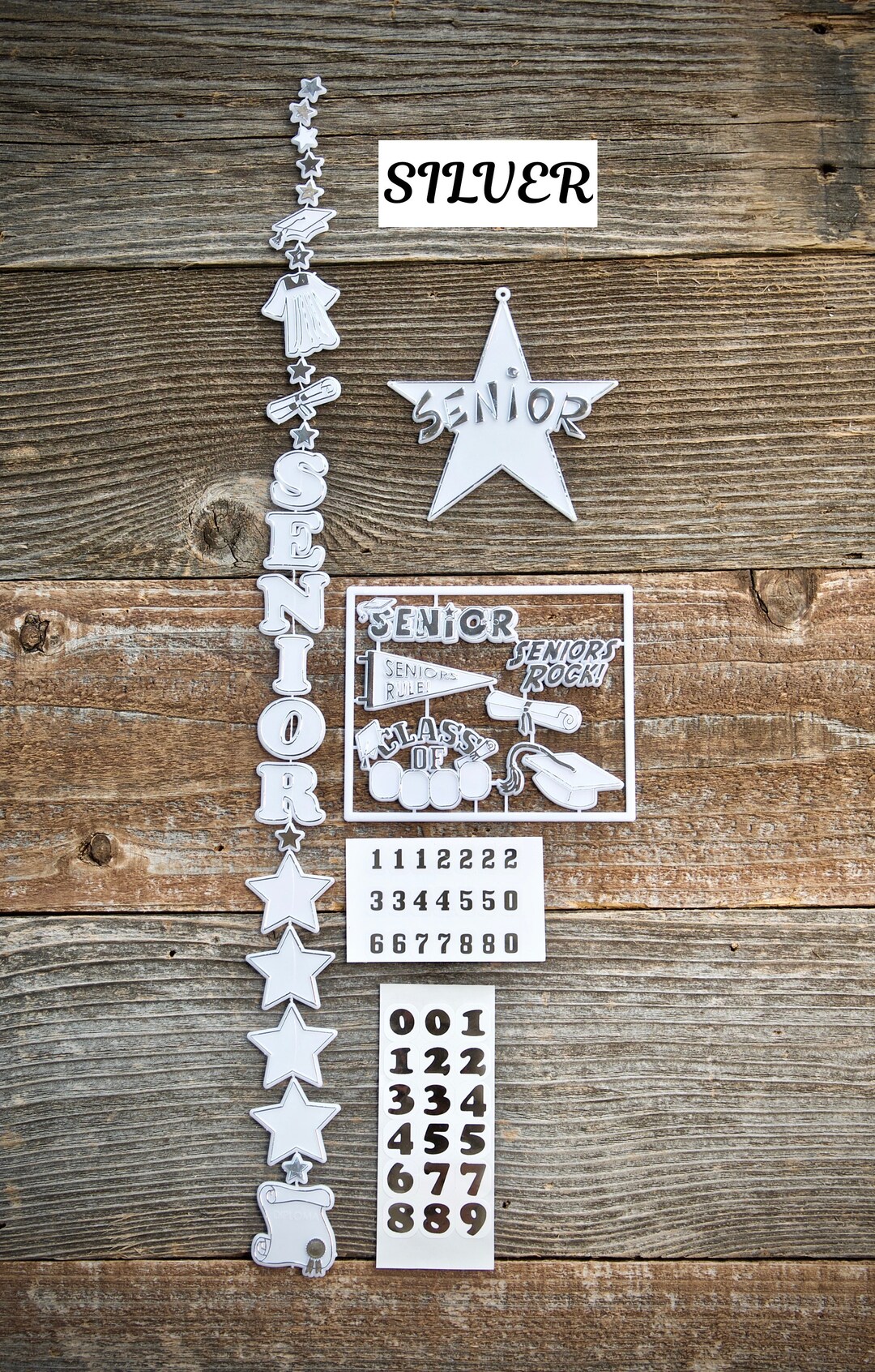 Senior Set SILVER, for Homecoming Mum or Garter 7 Trinkets and Garland ...