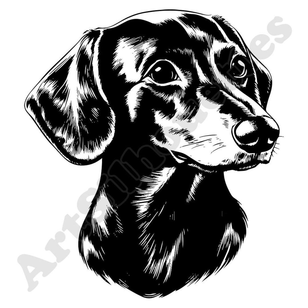 Dachshund. Dog Portrait SVG File for Cricut. EPS, DXF Files. Laser Cut ...