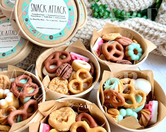 Snack Attack Wax Melts, Assortment of Dessert Snacks, Fake Food Wax ...