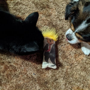 President Donald Trump Kitty Kicker - Cat Toy, Organic Catnip, Handmade ...