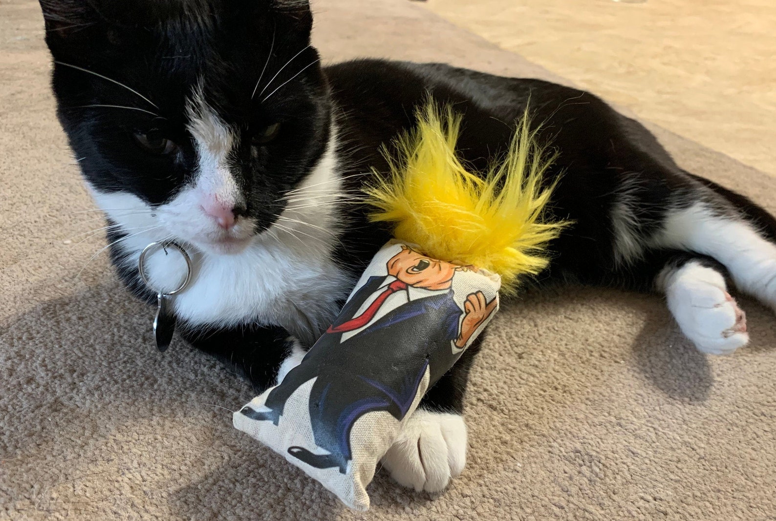 President Donald Trump Kitty Kicker Cat Toy Organic Catnip - Etsy