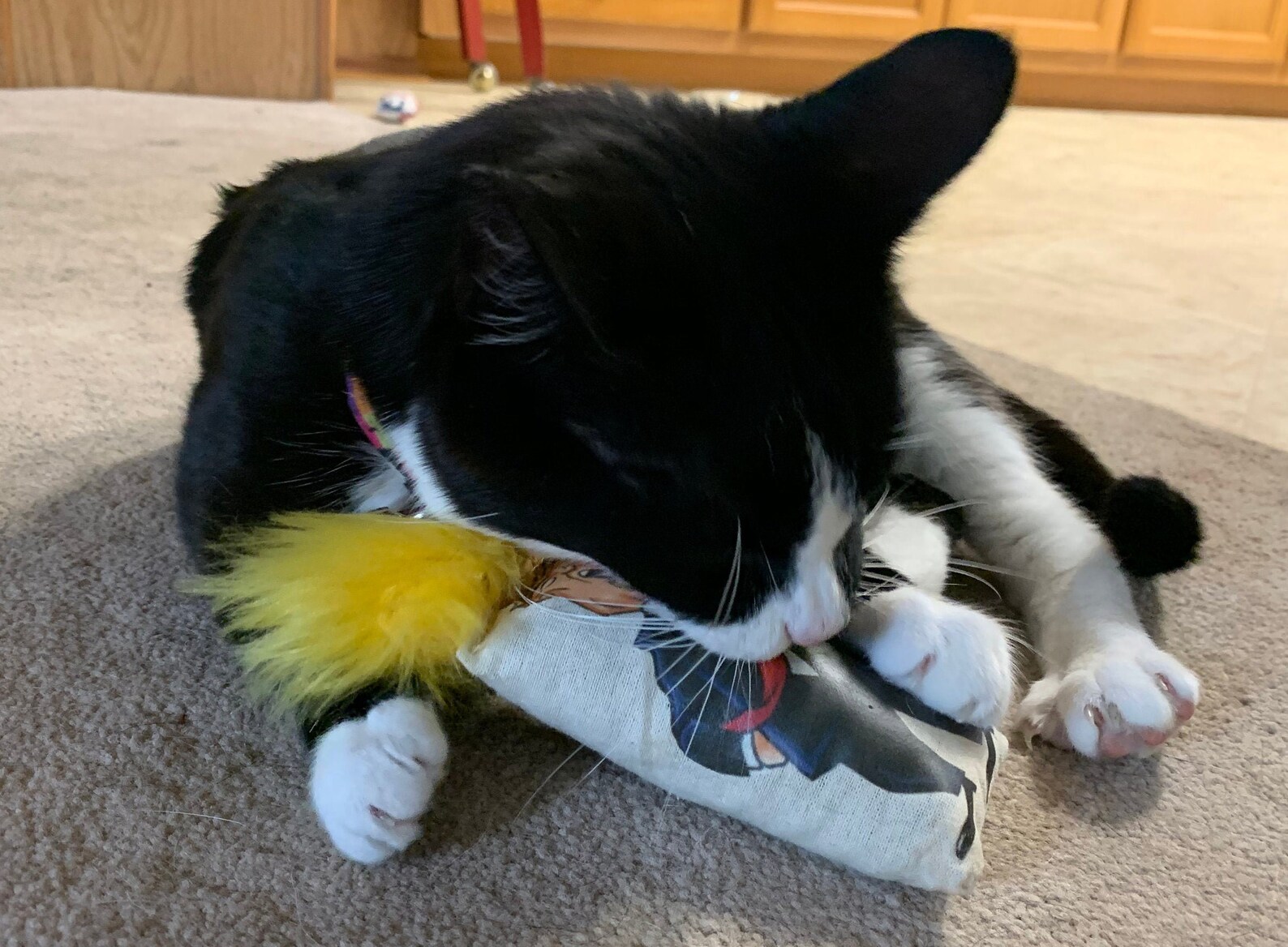 President Donald Trump Kitty Kicker Cat Toy Organic Catnip - Etsy