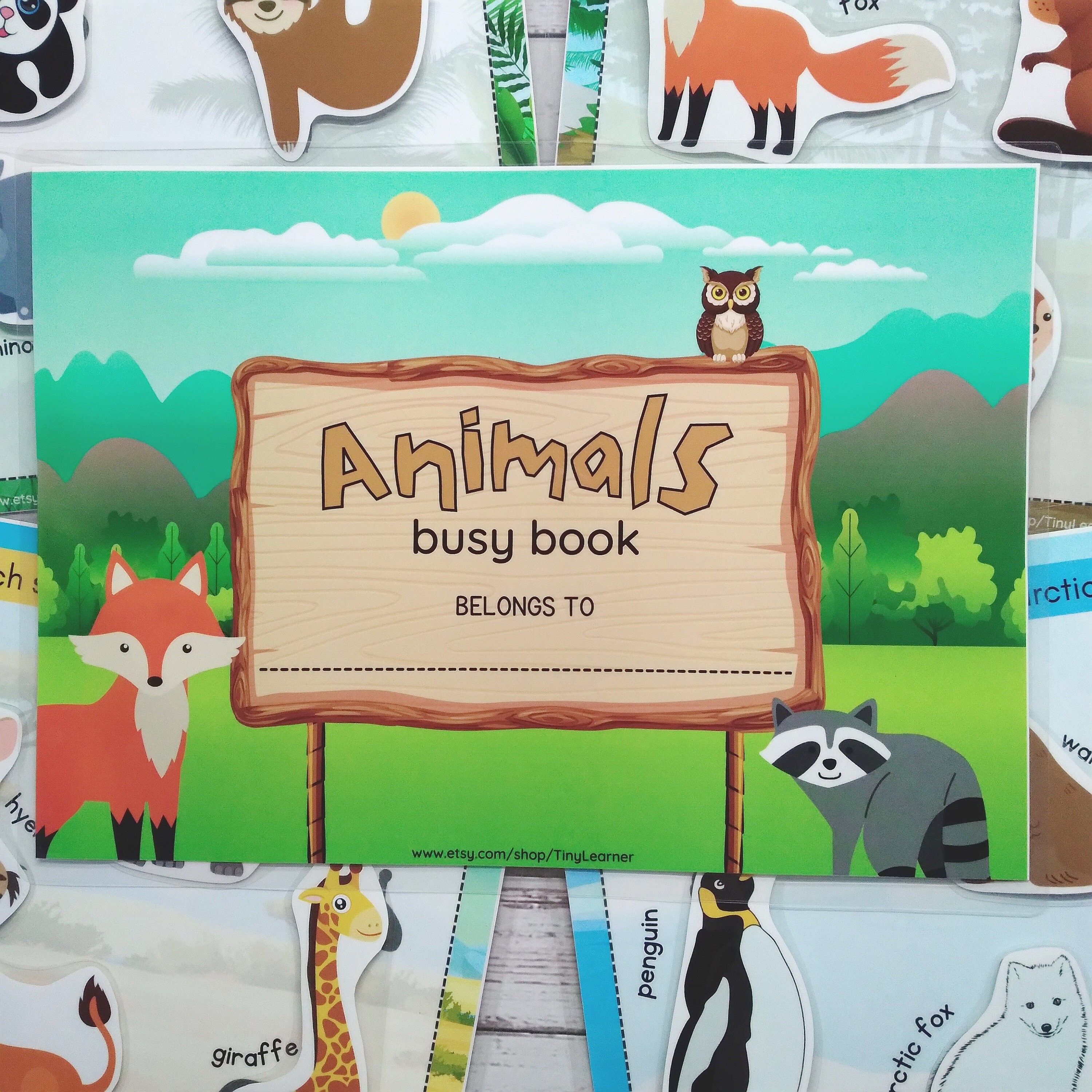 Animal Habitat Busy Book, Matching Activity, Animals Shadow Matching ...