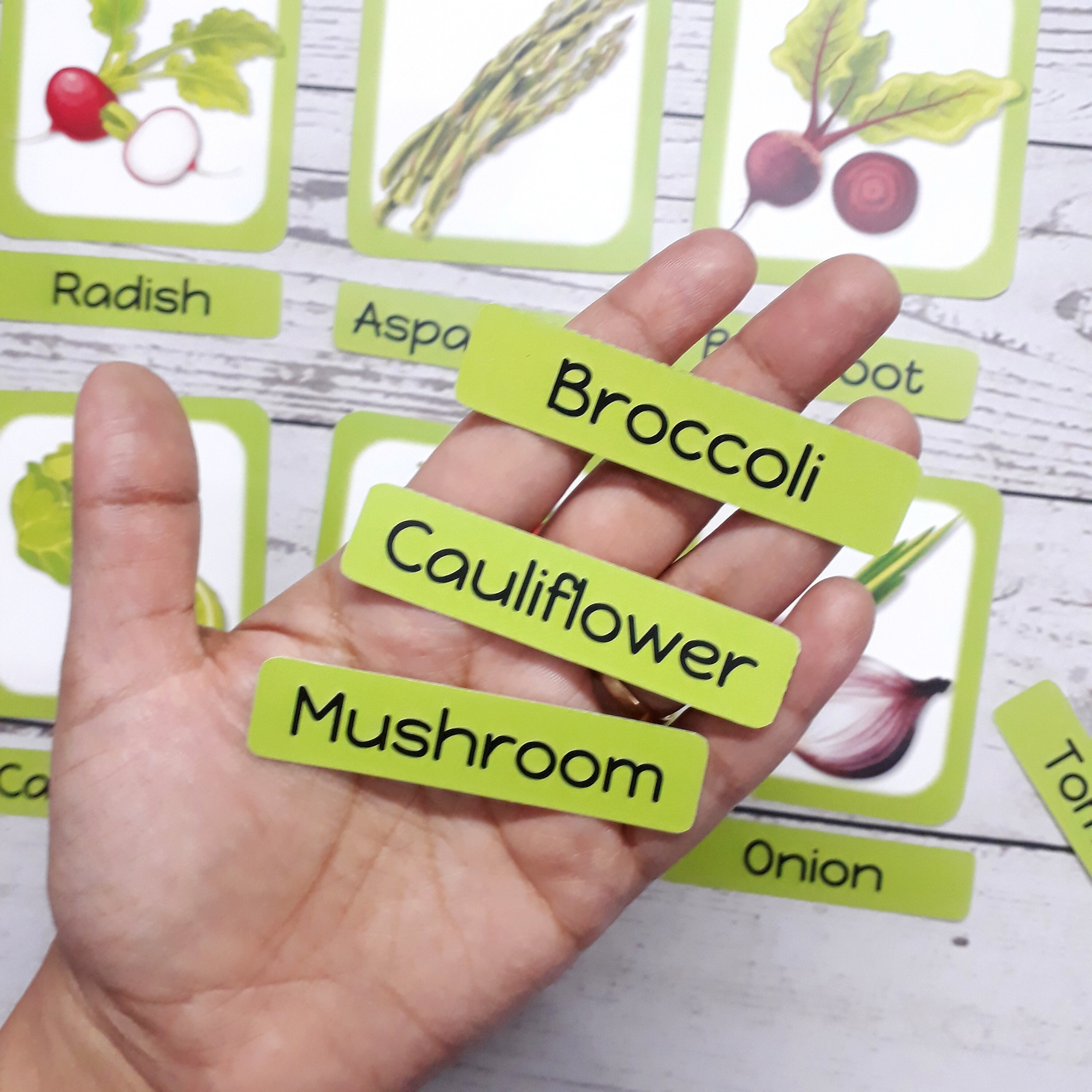 VEGETABLES Flashcard Food Group Montessori Flashcards - Etsy