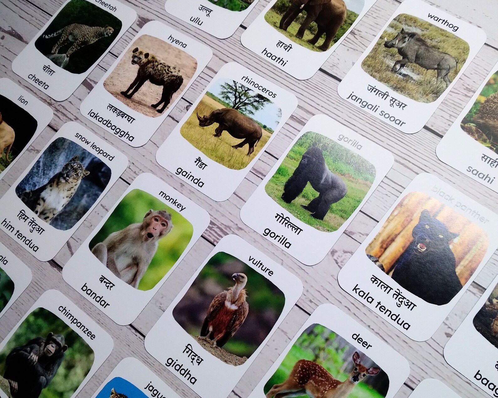 Wild Animals Flashcards in Hindi, Bilingual Hindi English Flashcards ...