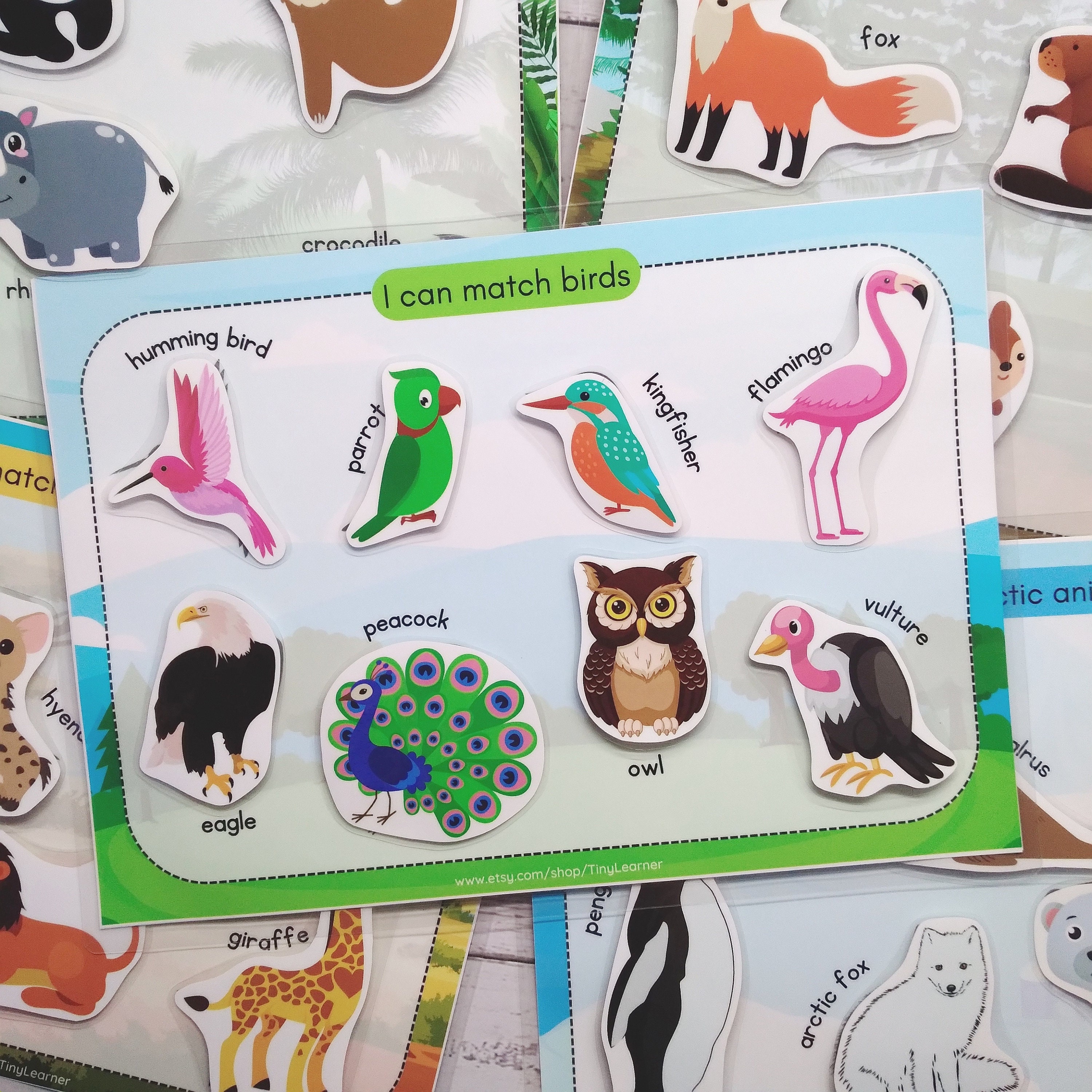 Animal Habitat Busy Book, Matching Activity, Animals Shadow Matching ...