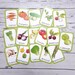 VEGETABLES Flashcard Food Group Montessori Flashcards - Etsy