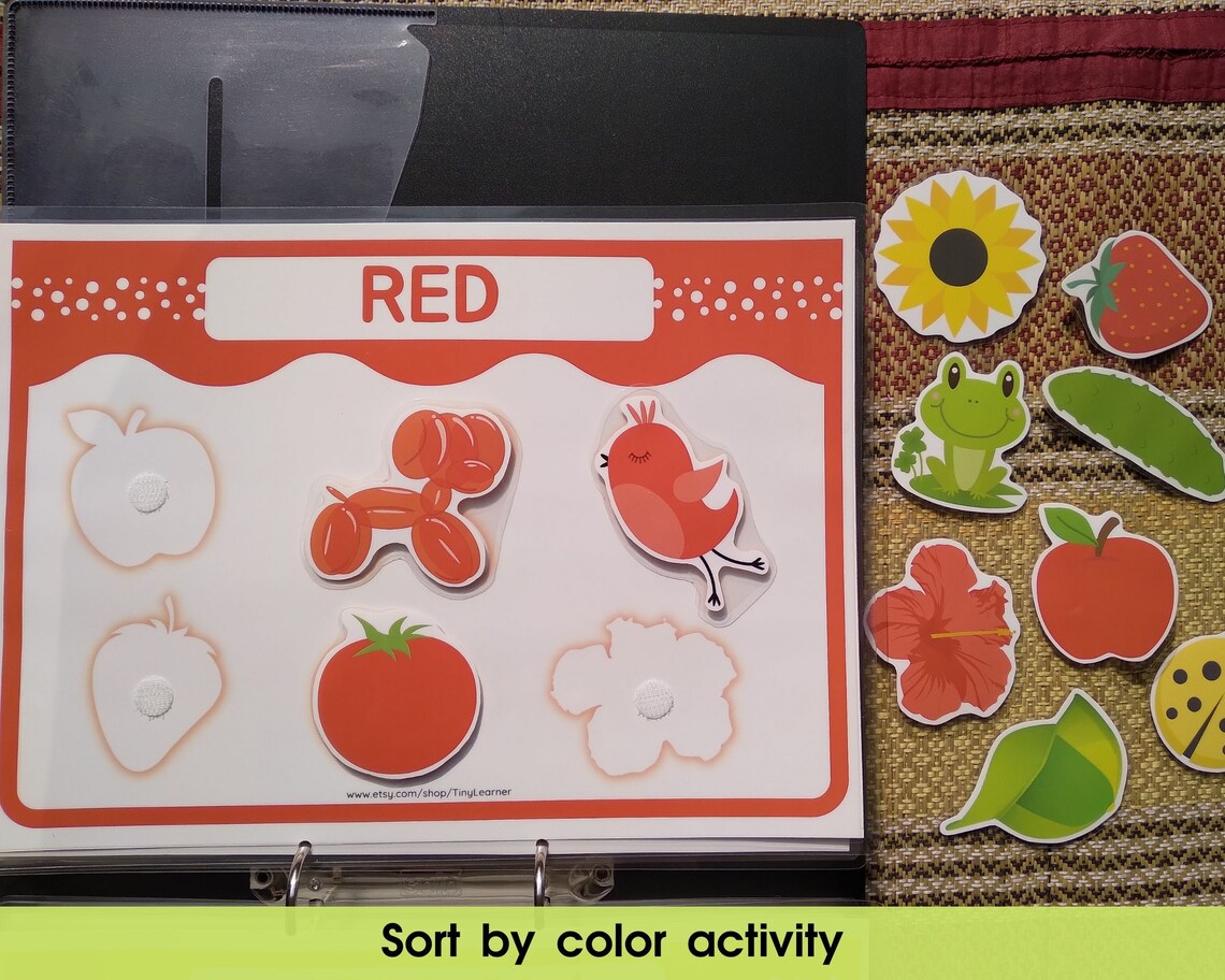 Color Busy Book Color Sorting Color Worksheet Learning - Etsy UK