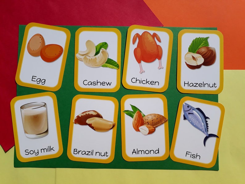 PROTEIN FOOD Flashcard Food Groupmontessori - Etsy