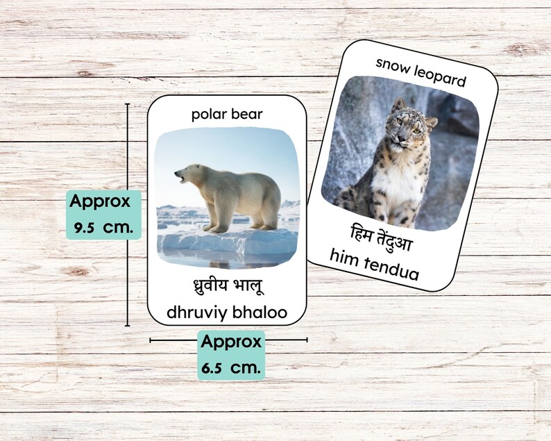 Wild Animals Flashcards in Hindi, Bilingual Hindi English Flashcards ...