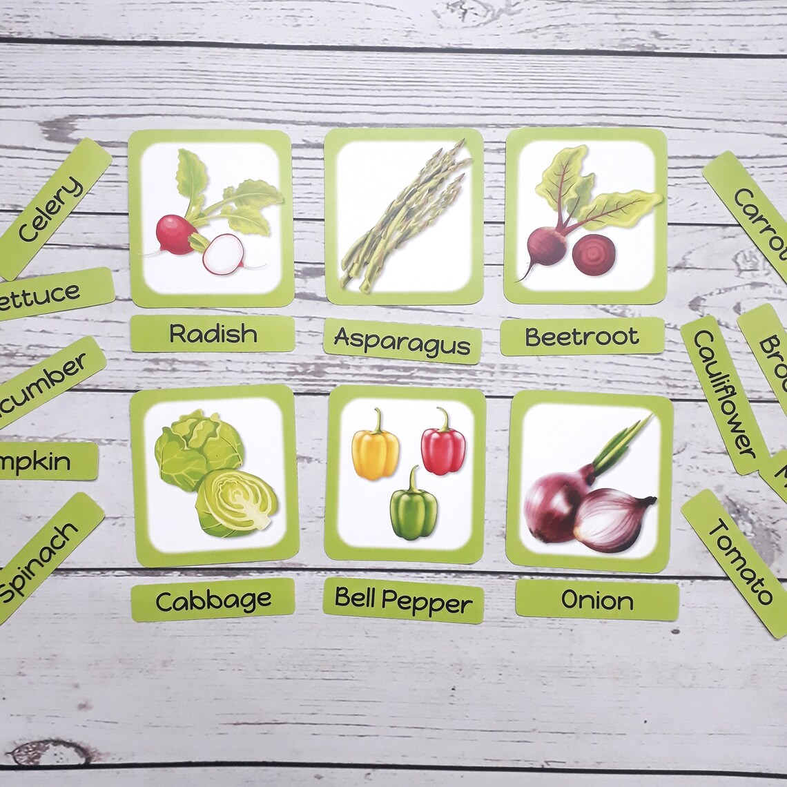 VEGETABLES Flashcard Food Group Montessori Flashcards - Etsy