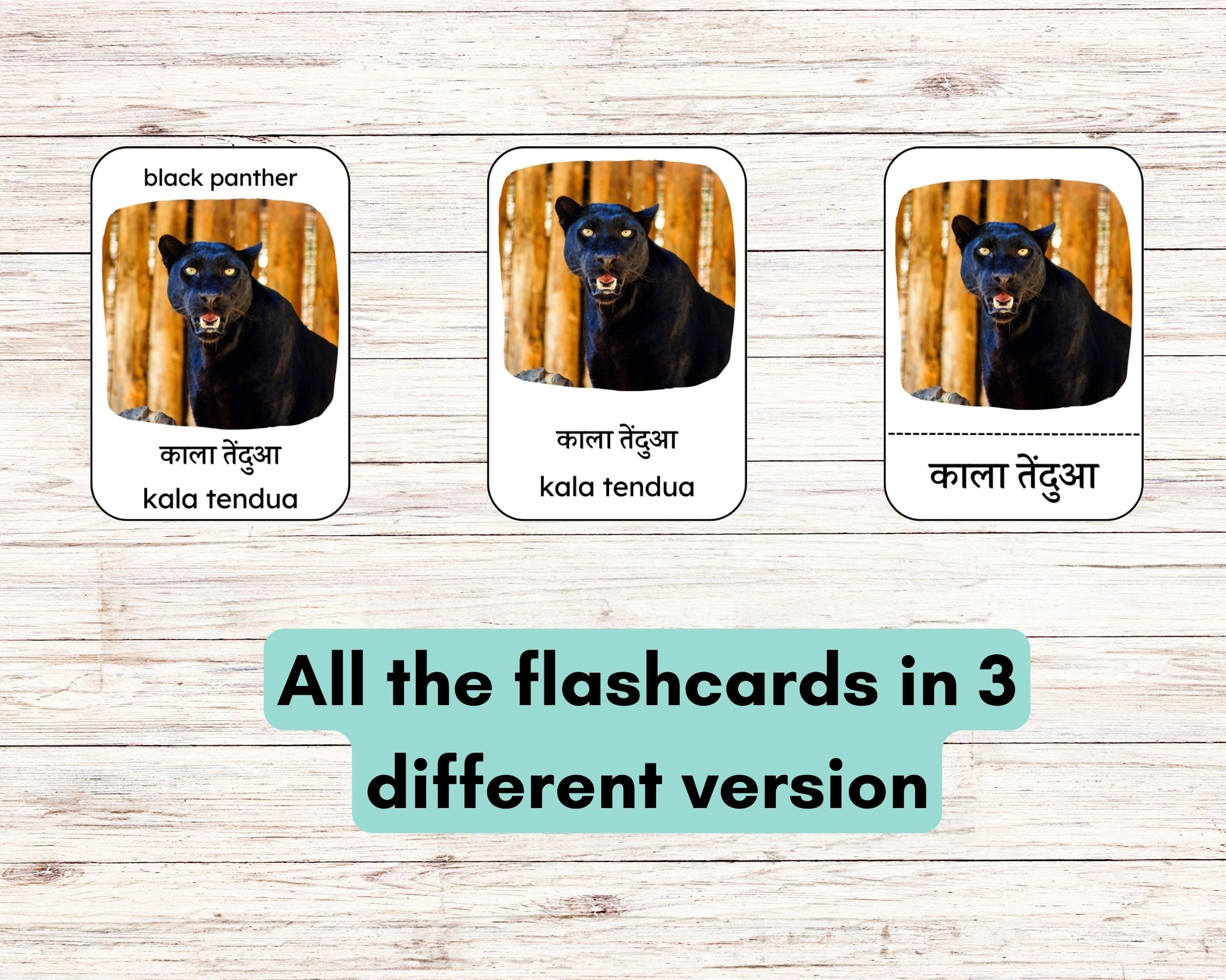 Wild Animals Flashcards in Hindi, Bilingual Hindi English Flashcards ...