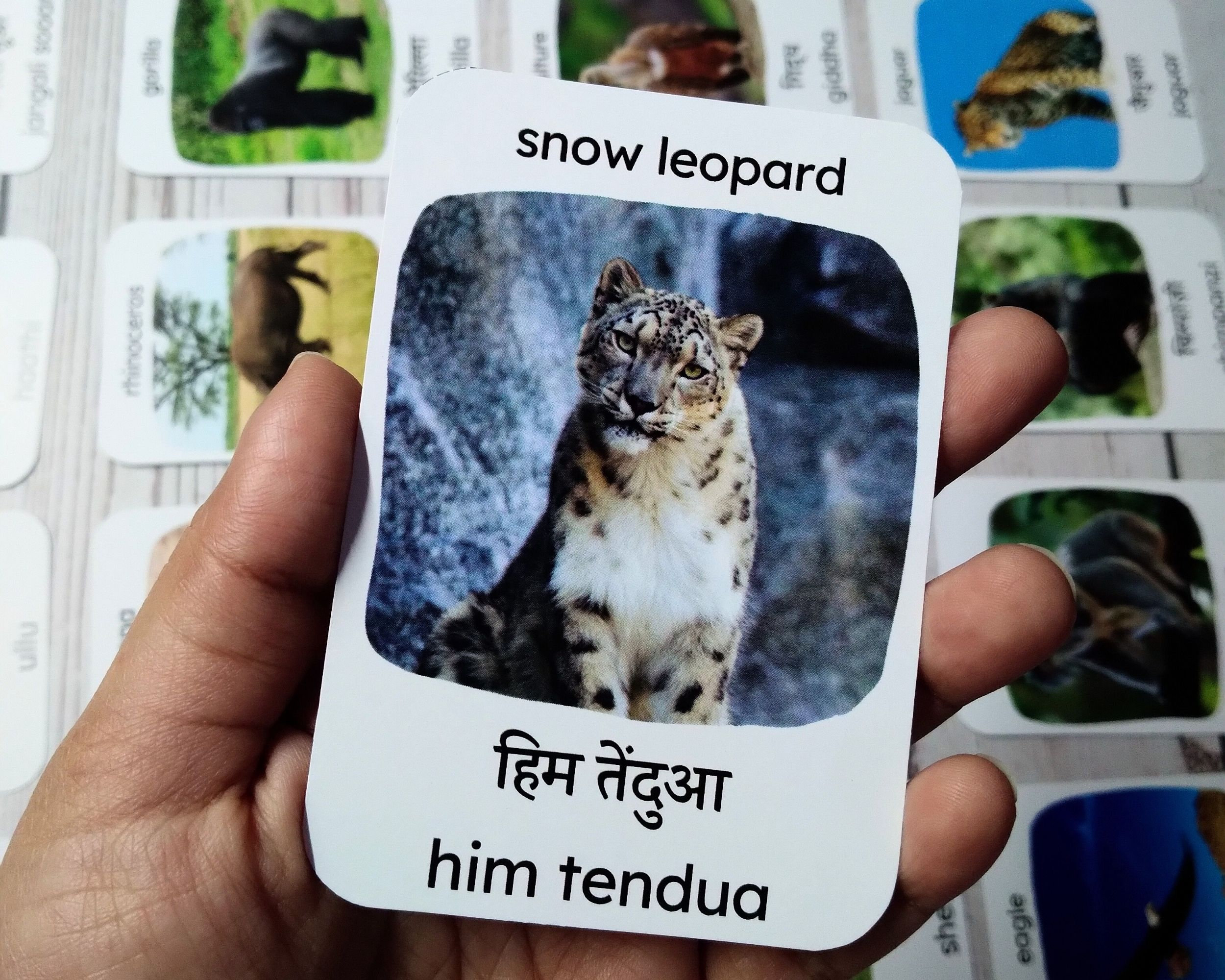 Wild Animals Flashcards in Hindi, Bilingual Hindi English Flashcards ...