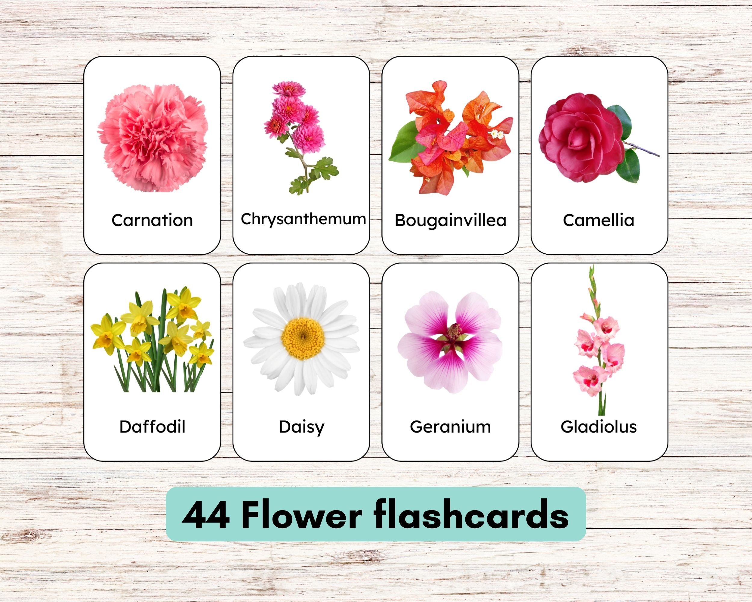 44 Flower Flashcards With Real Picture, 3-part Montessori Flashcards ...