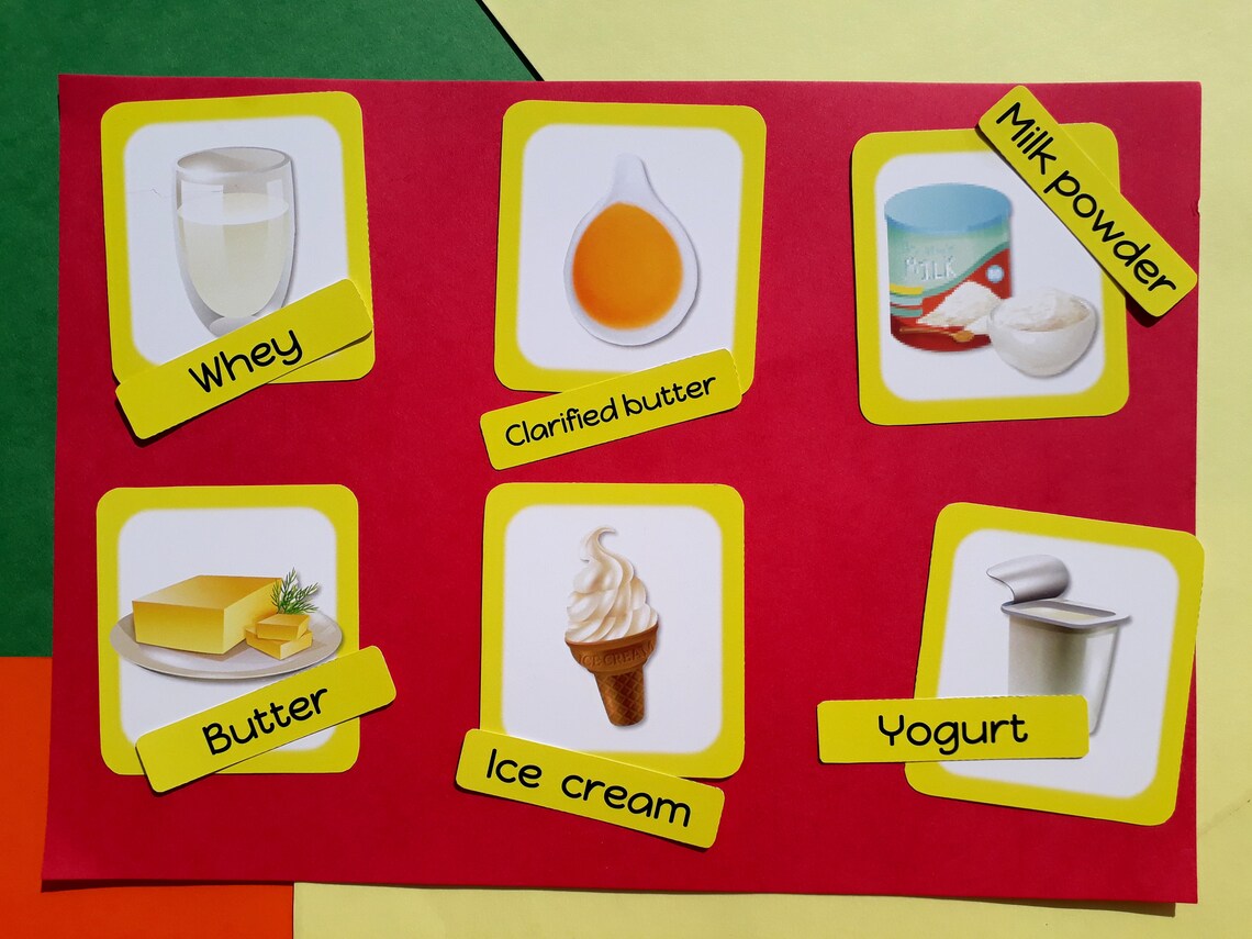 DAIRY FOOD flashcard food groupMontessori | Etsy