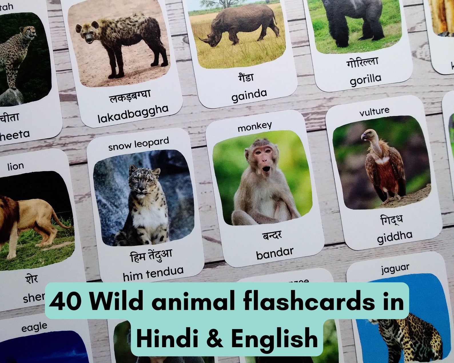 Wild Animals Flashcards in Hindi, Bilingual Hindi English Flashcards ...