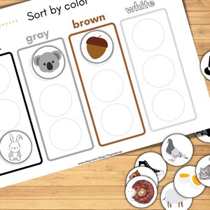 Printable Sort by Color and Color Matching Activity Pages for Kids ...