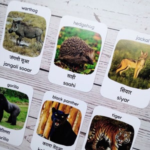 Wild Animals Flashcards in Hindi, Bilingual Hindi English Flashcards ...
