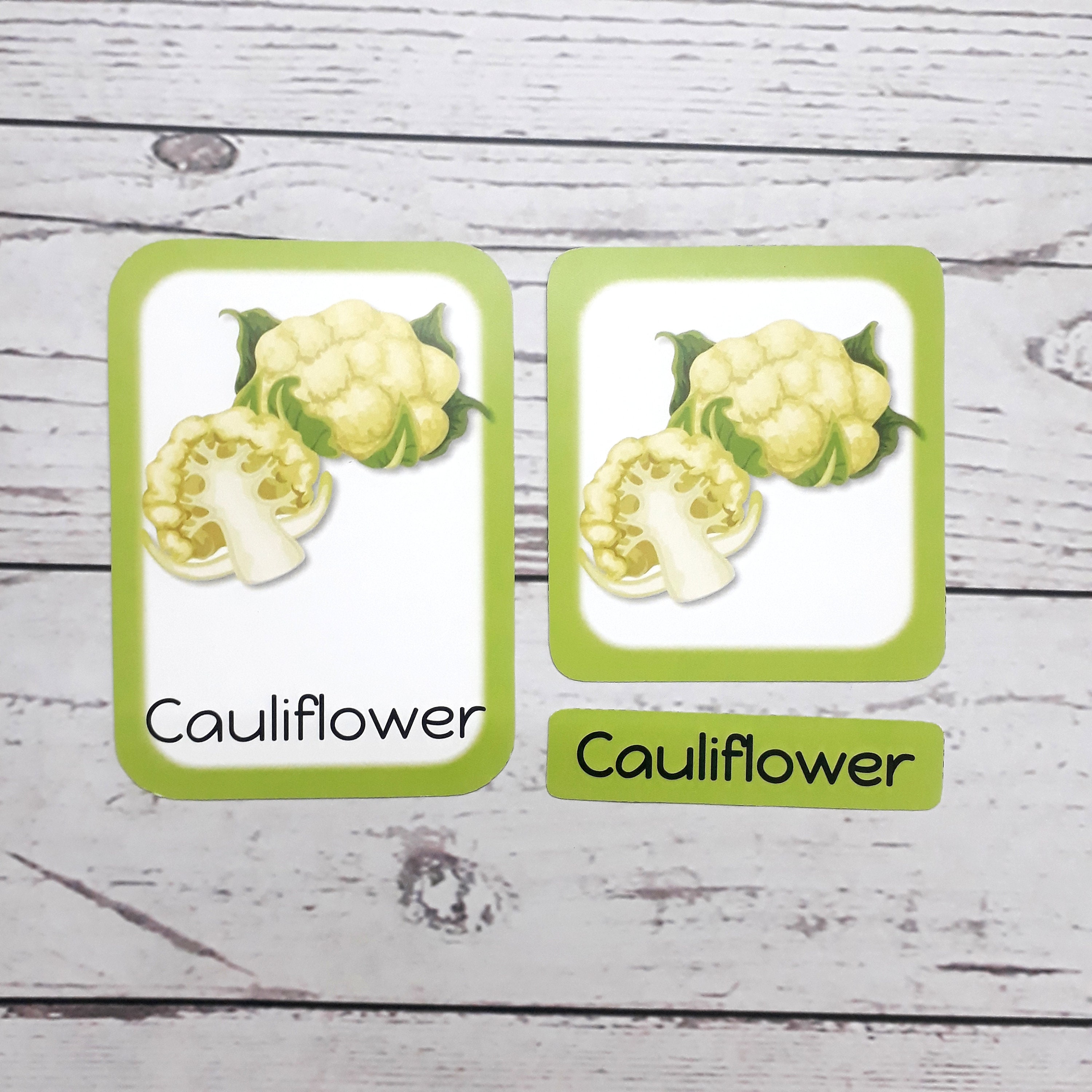 VEGETABLES Flashcard Food Group Montessori Flashcards - Etsy