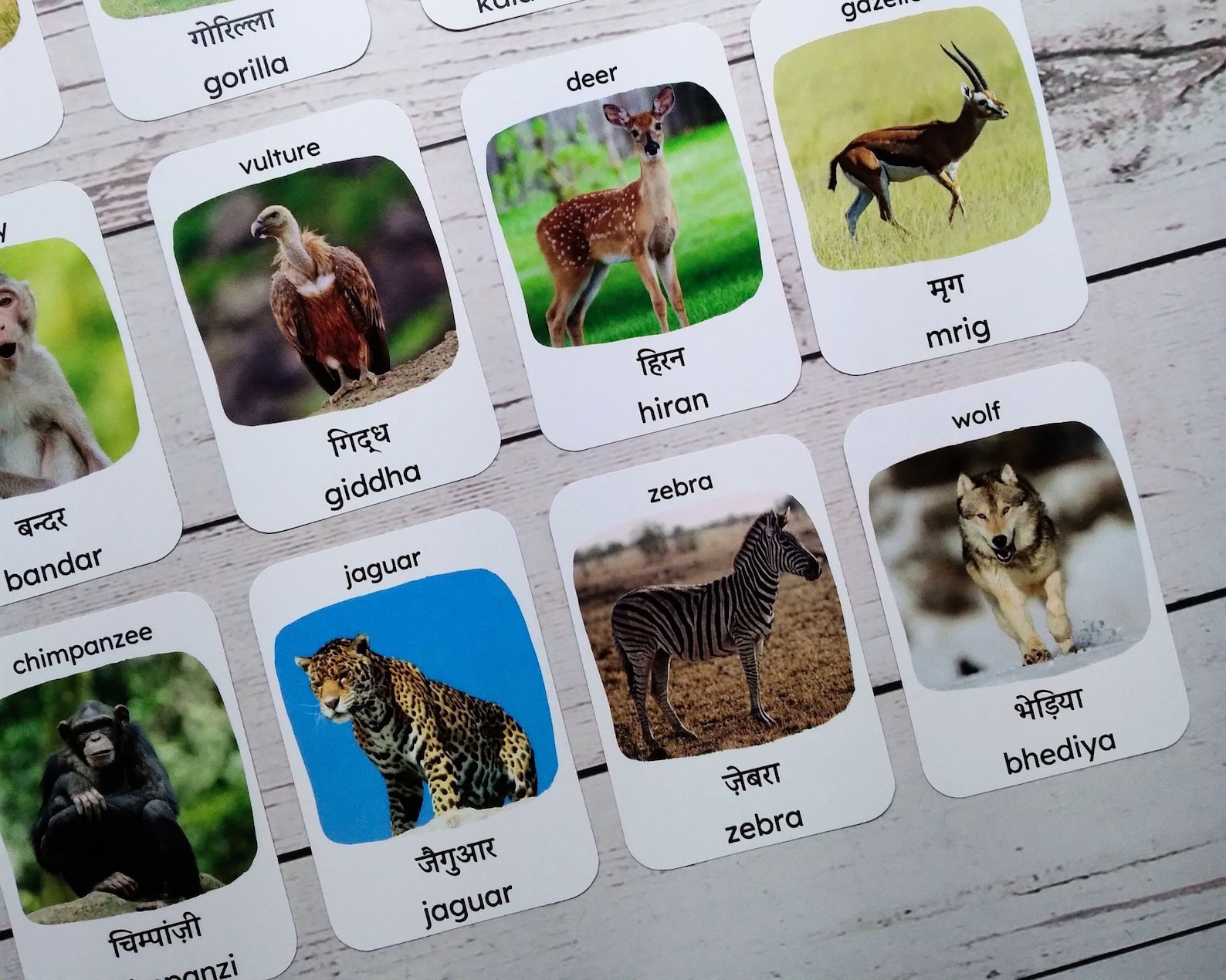 Wild Animals Flashcards in Hindi, Bilingual Hindi English Flashcards ...