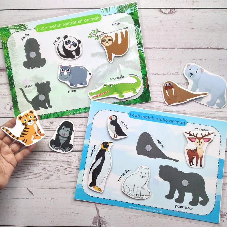 Animal Habitat Busy Book, Matching Activity, Animals Shadow Matching ...